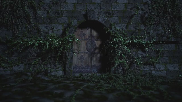 Shuffle Dungeons: The Co-op Board Game of Endless Dungeons – Zero ...